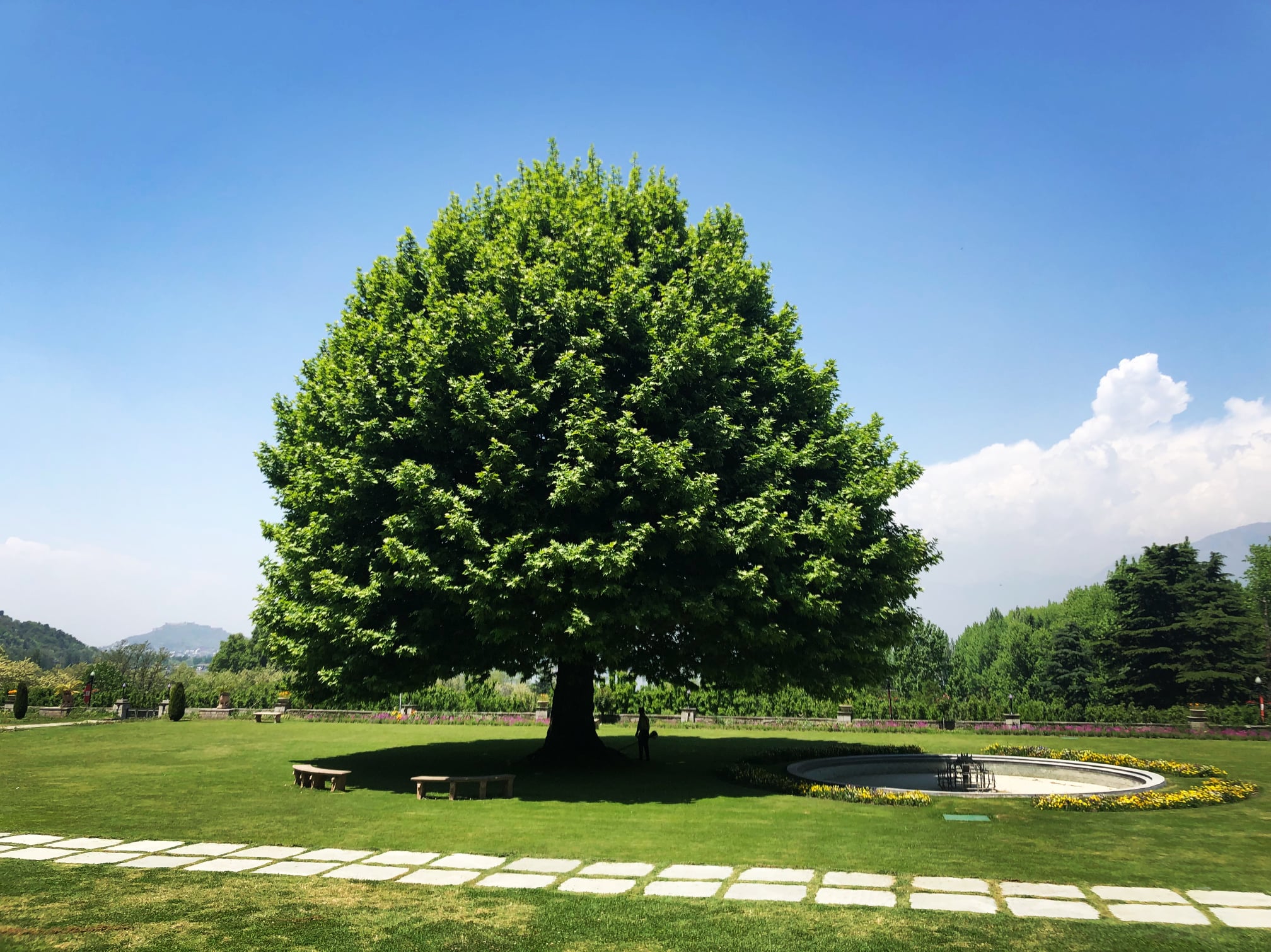 Quintessential Srinagar and the Kashmir Valley | Travel and Food Network