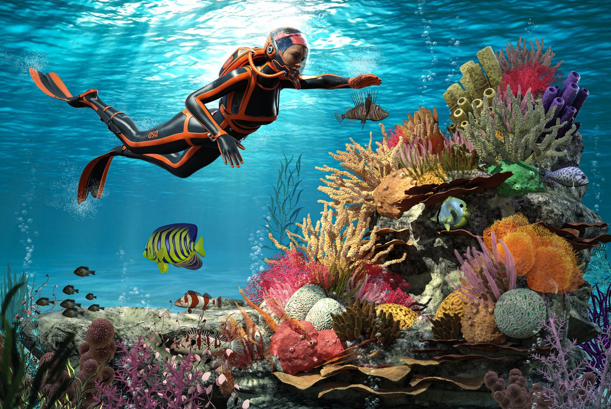 News at 9: 91% of reefs surveyed on Great Barrier Reef affected by ...