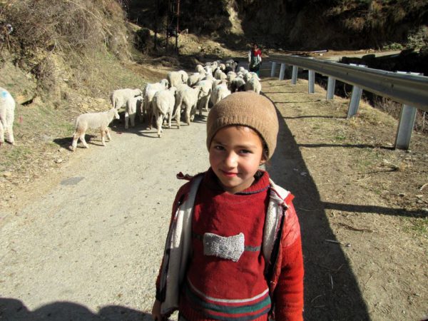 TFN My Shot | In Photos: "Best of India" - Travel and Food Network