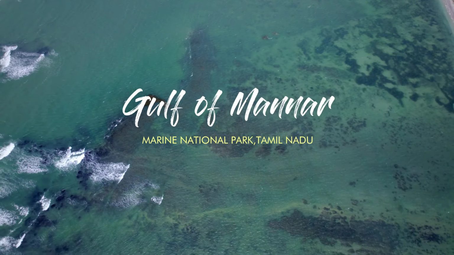 Gulf of Mannar Marine National Park | Tamil Nadu Tourism | Travel and ...