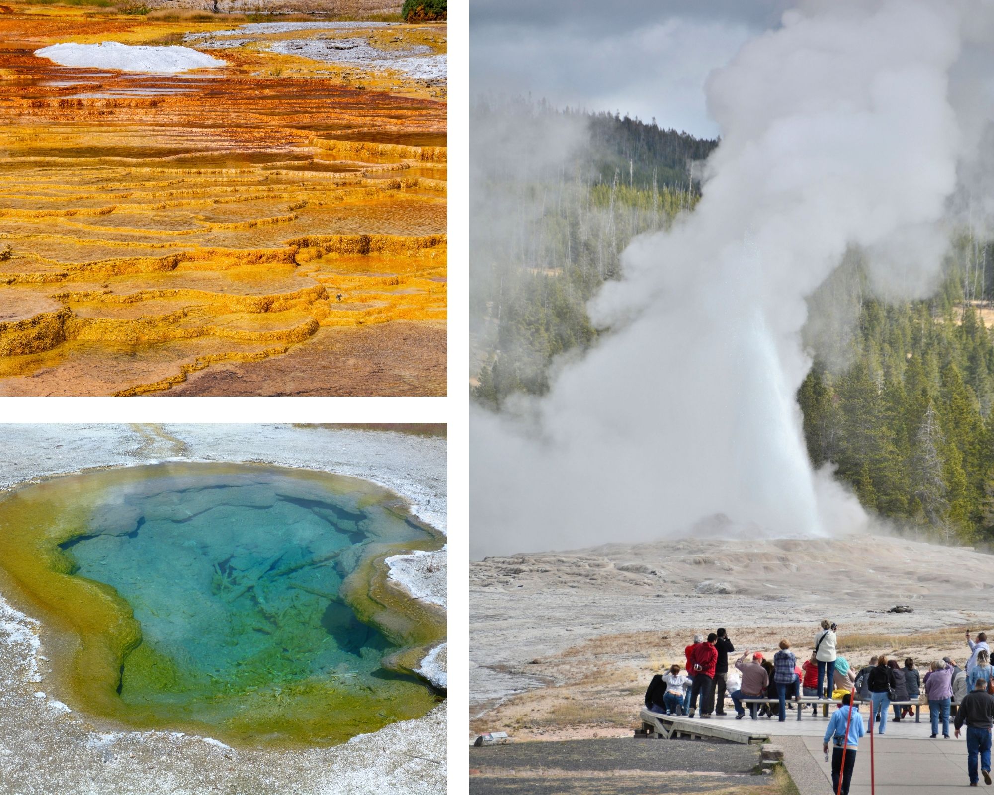 72 Hours In Yellowstone National Park, USA | Travel Guide - Travel and ...