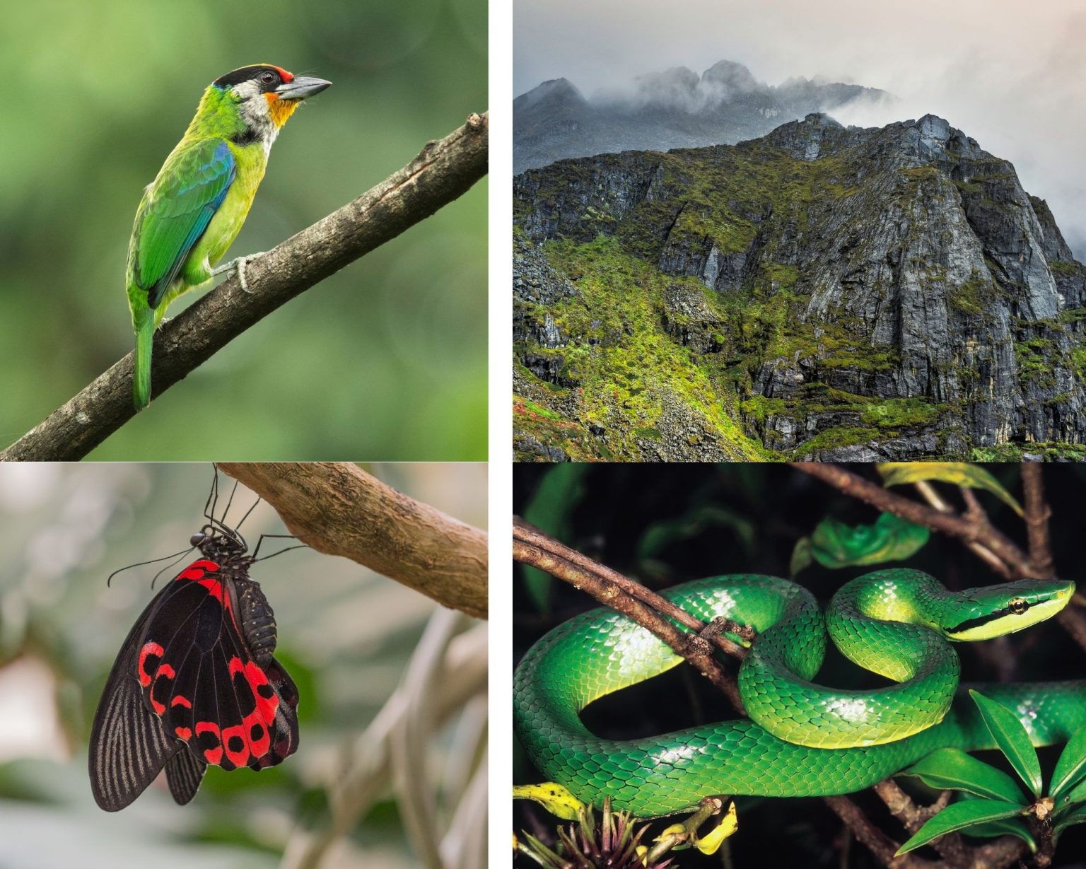 Adventure & Outdoor Tourism Arunachal Pradesh | Travel and Food Network