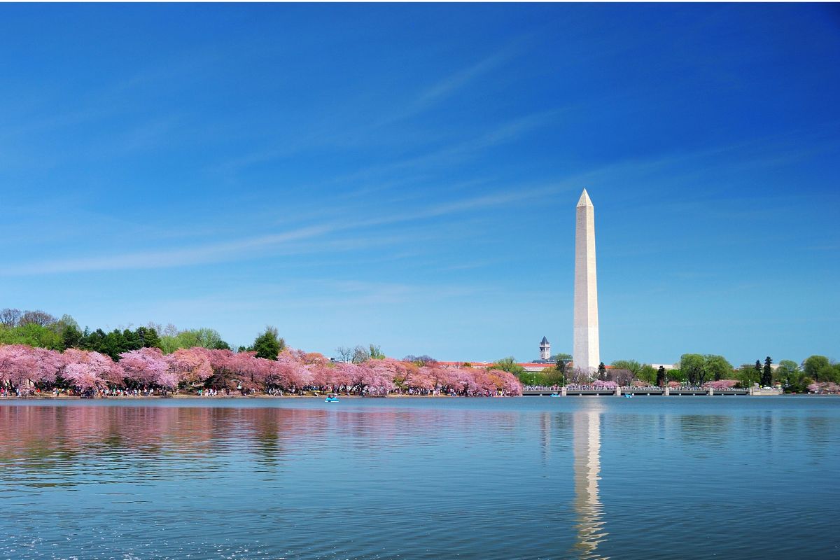 48 Hours in Washington, D.C. | Travel and Food Guide - Travel and Food ...