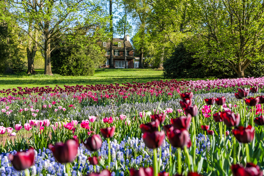 The Countryside of Philadelphia: A Guide to Road Tripping through ...