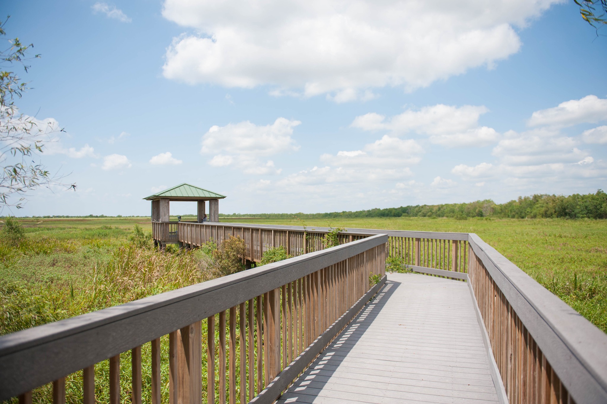 Take A Road Trip Through Louisiana’s Creole and Cajun Culture - Travel ...