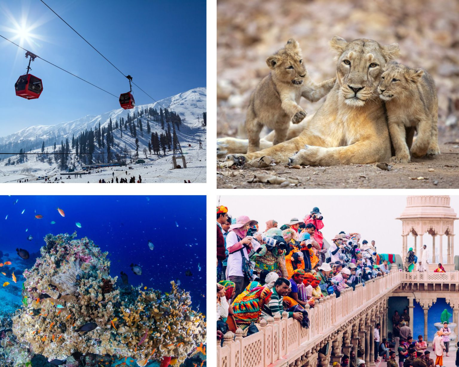 Long Weekends 2025: You Can Plan 14 Mini Vacations This Year - Travel ...
