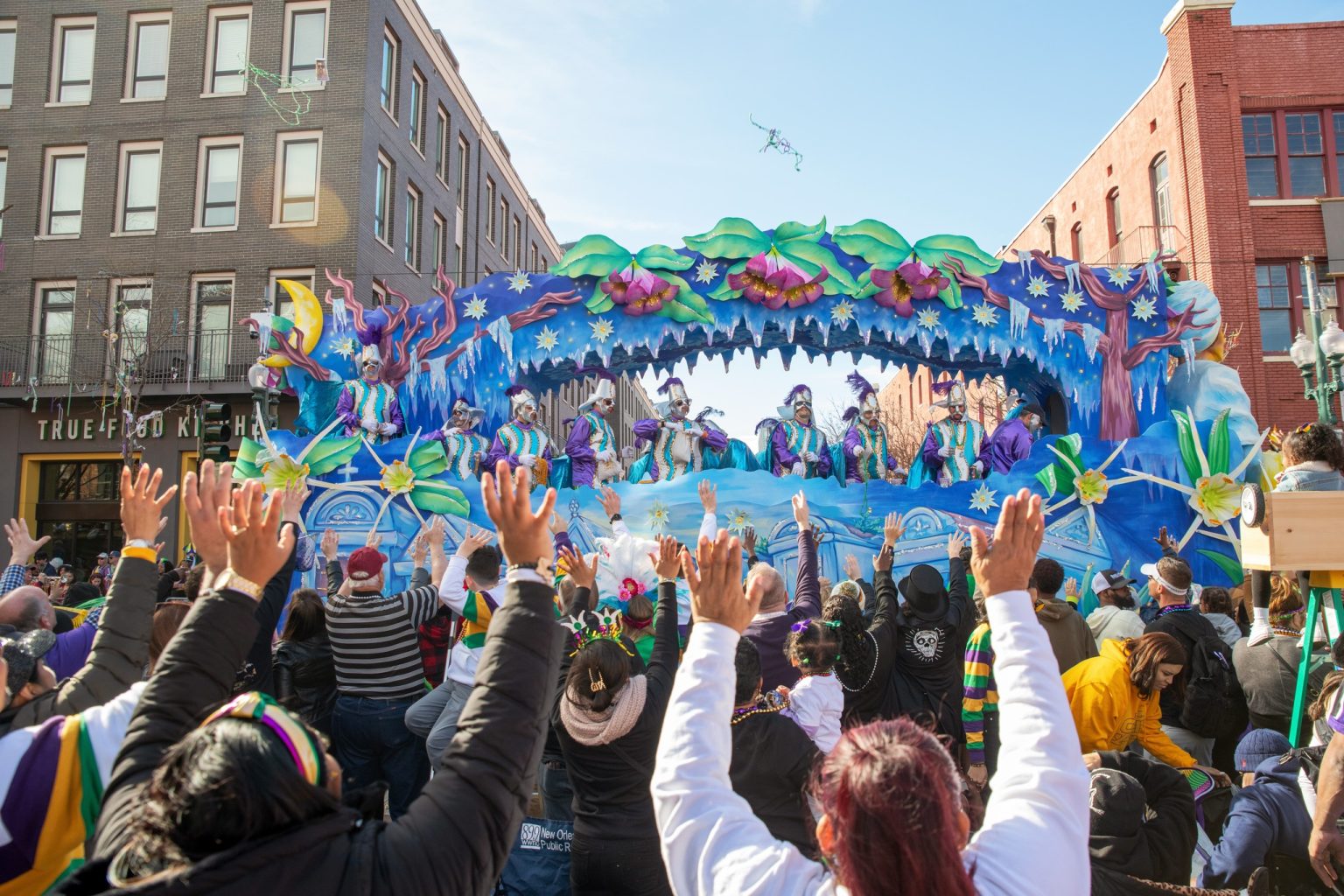 10 Fascinating Facts About Mardi Gras, Louisiana’s Biggest Cultural ...